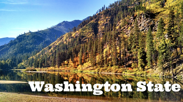 The History of Washington - Adam's Moving Service